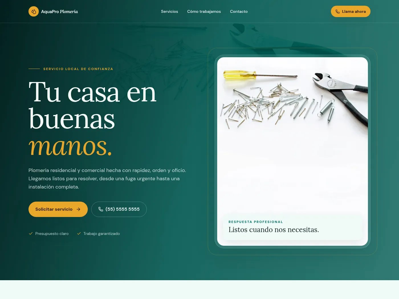 AquaPro Plomería Online
