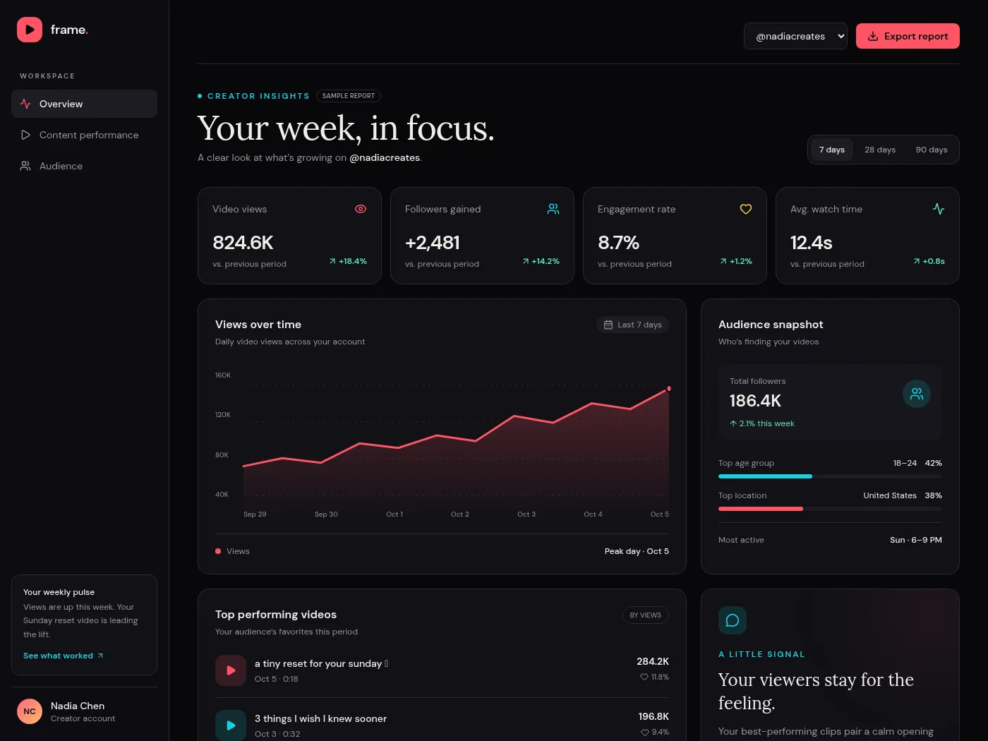 TikTok Report Insight