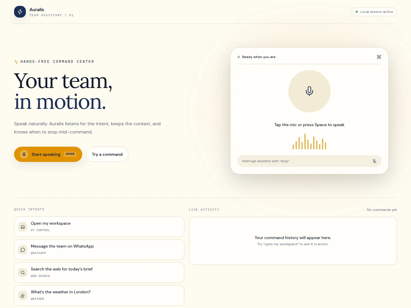 VoiceAI Team Assistant