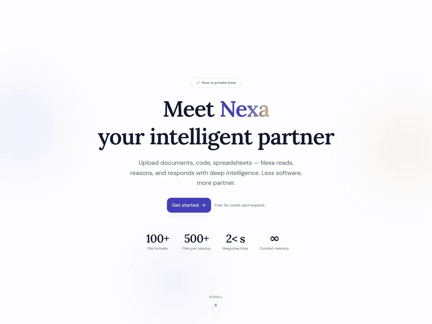 Nexa AI Platform