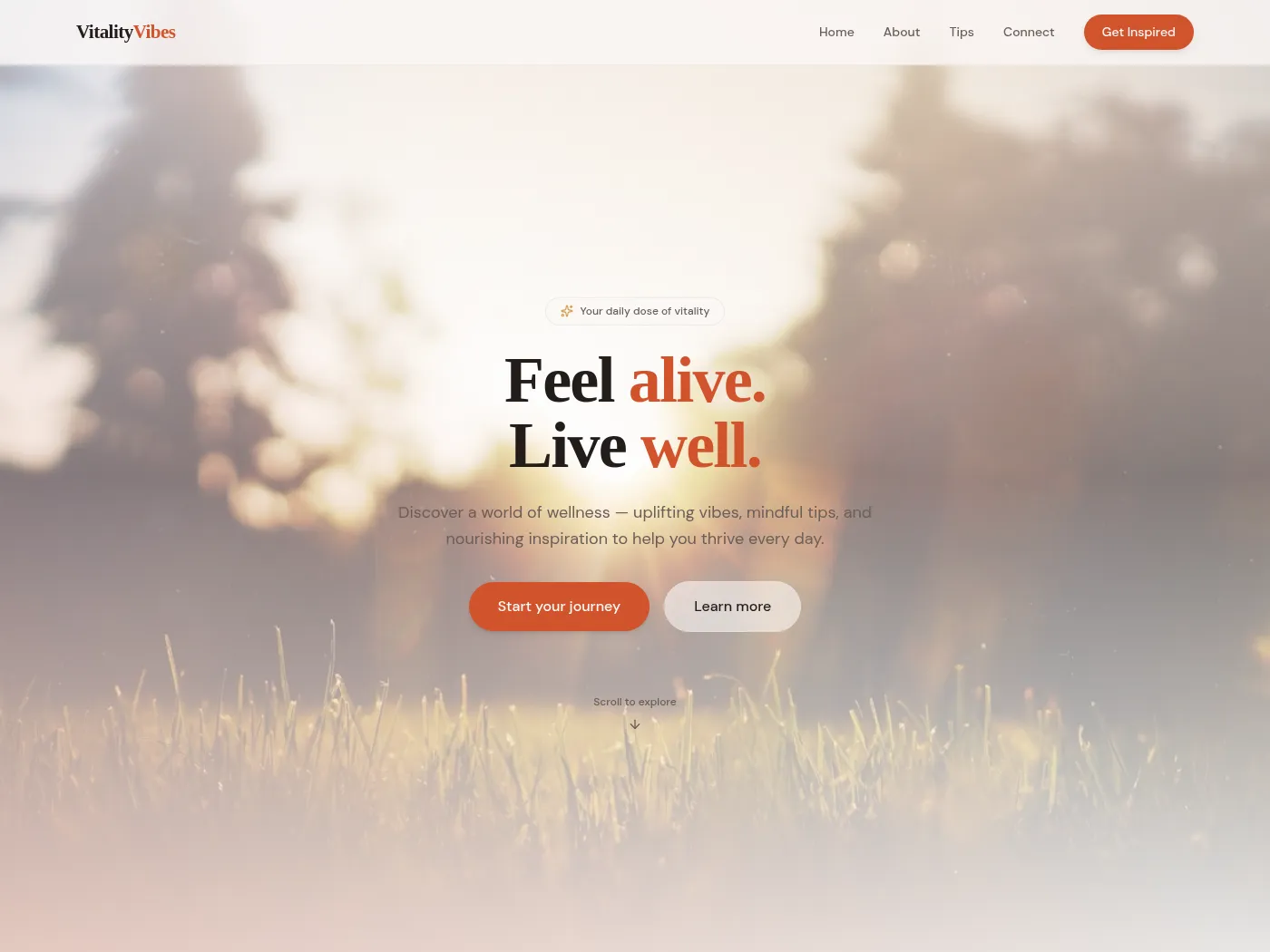 Vitality Vibes Web
