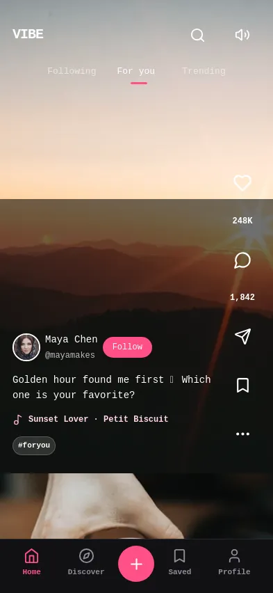 TikTok Evolution