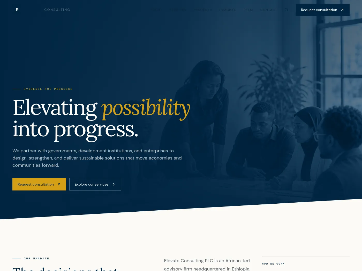 Elevate Consulting Website