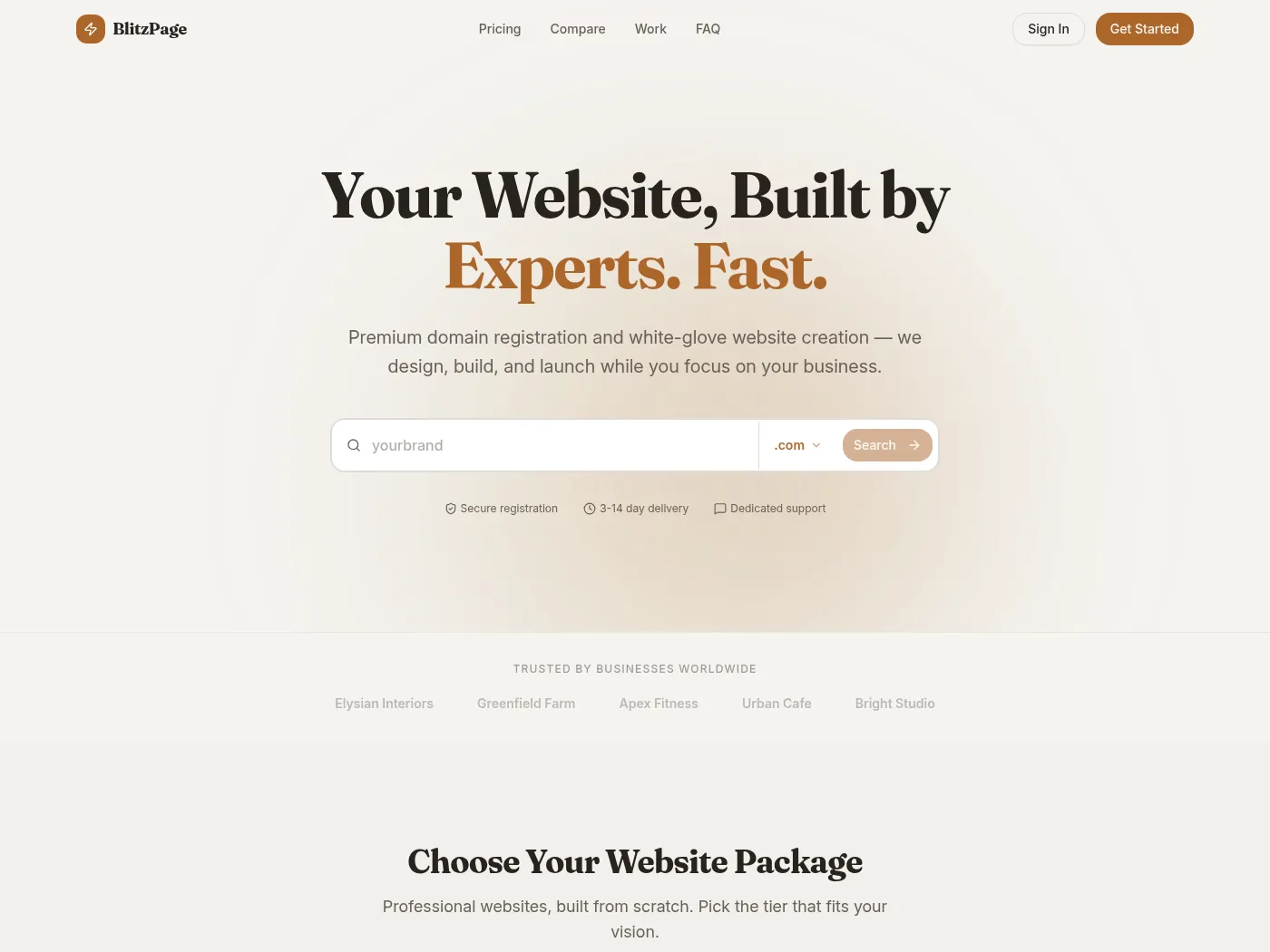 BlitzPage SaaS Platform