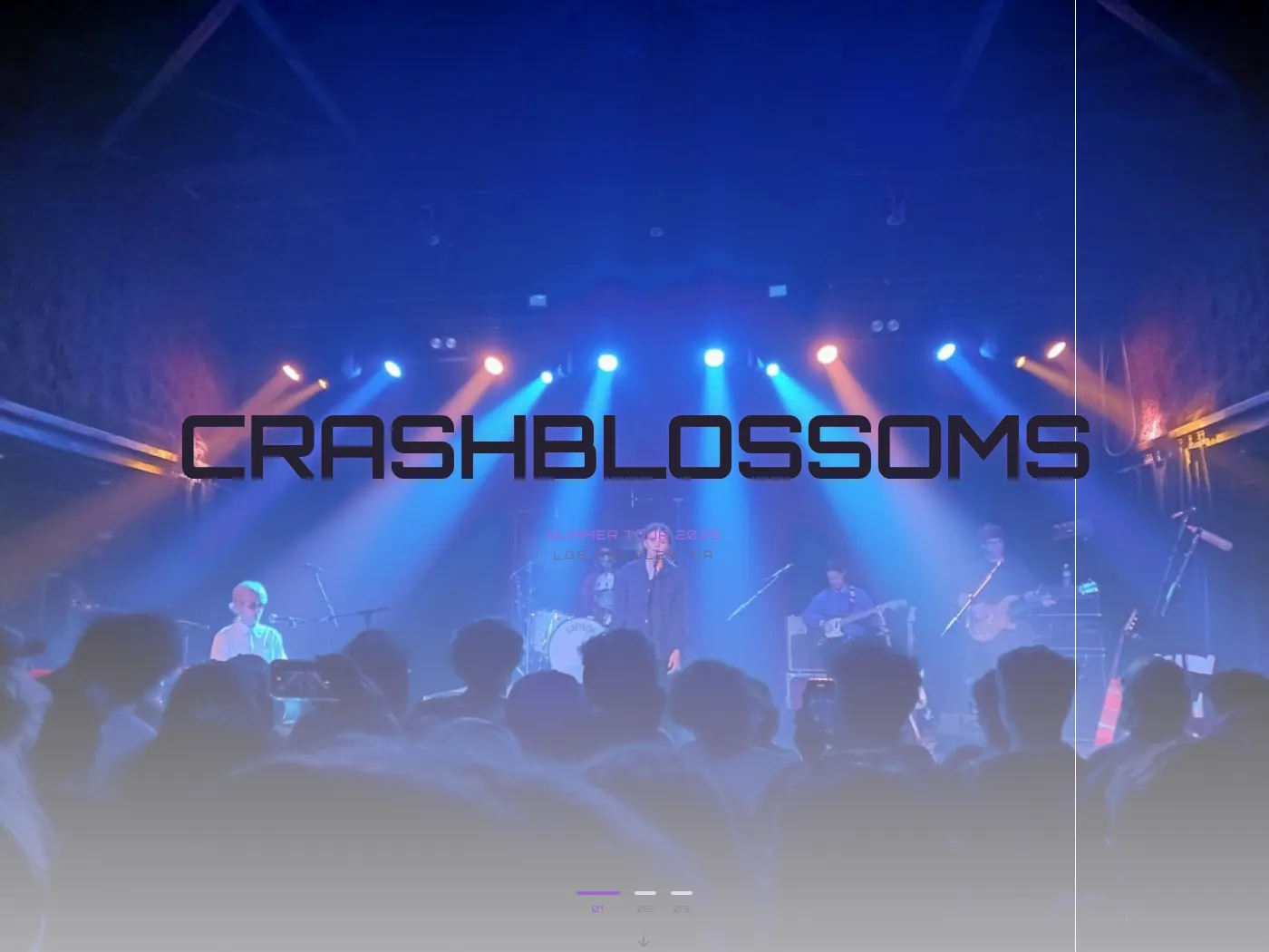 CrashBlossoms Band Site