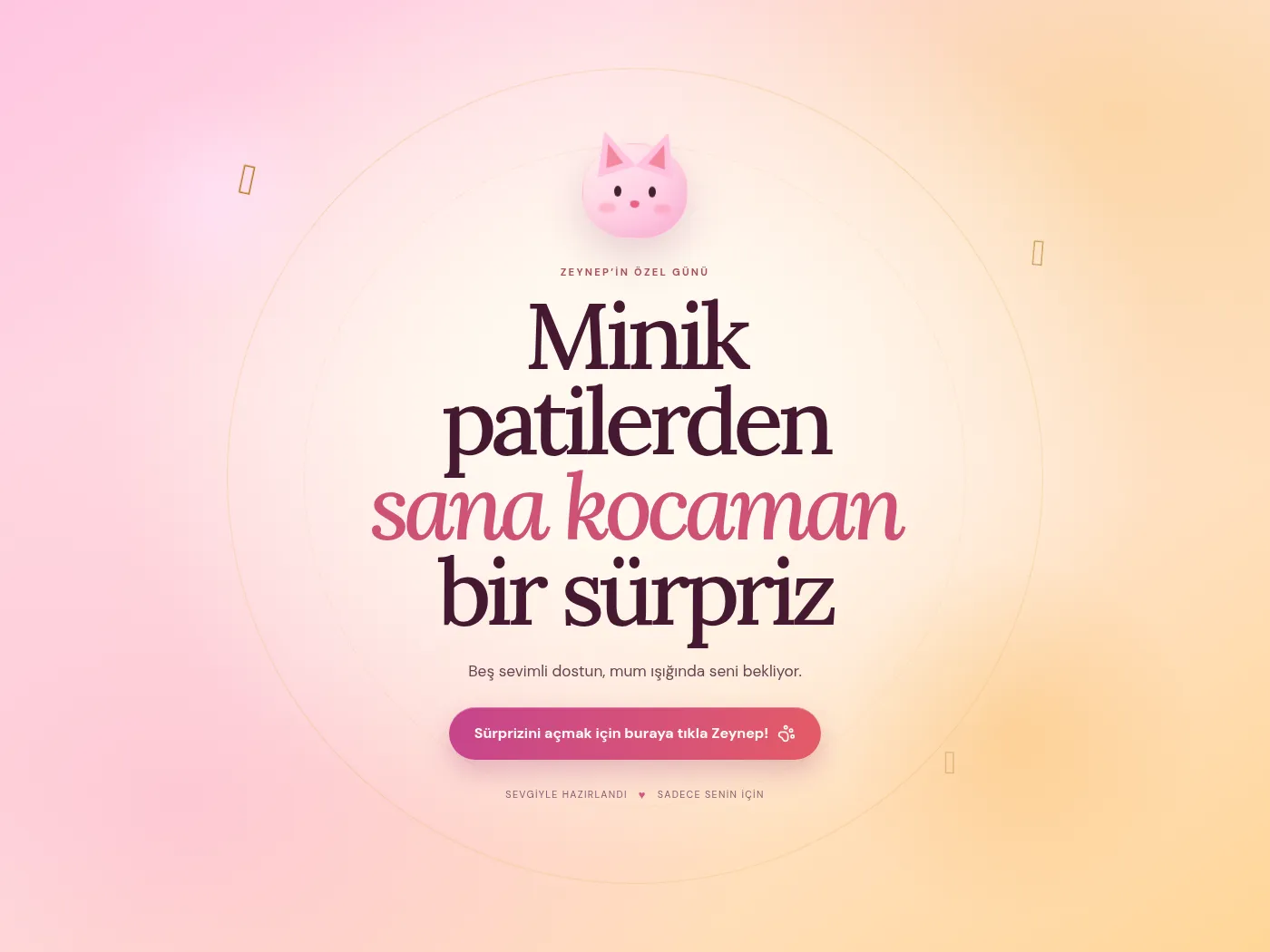 Zeynep'in Kedi Partisi