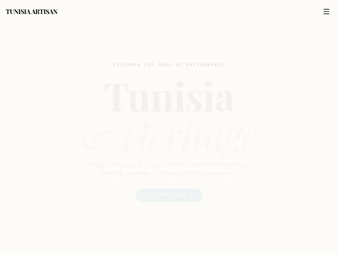 Tunisia Artisan Experience