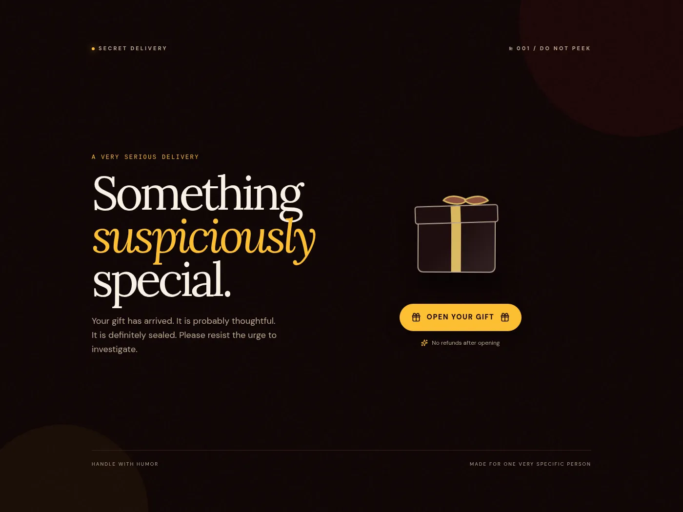 Gift Reveal Surprise