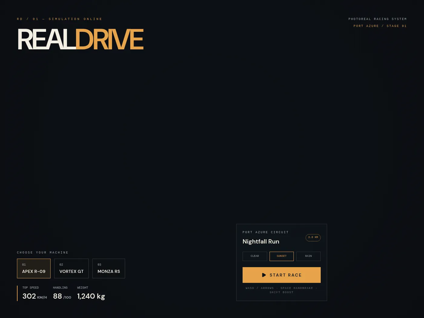 RealDrive: Photoreal Racing