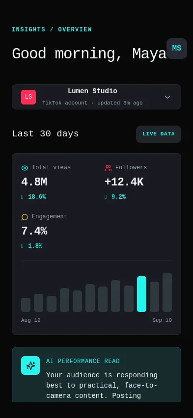 TikTok Insights App