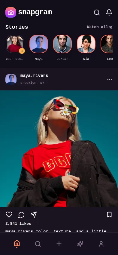 SnapGram Social
