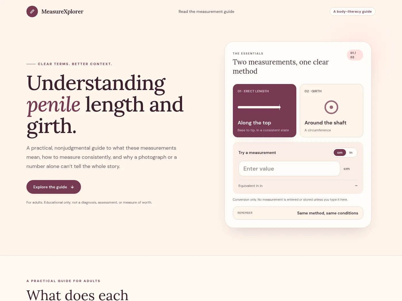 MeasureXplorer