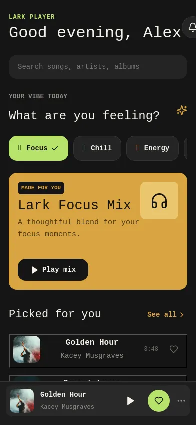 Lark Player Plus
