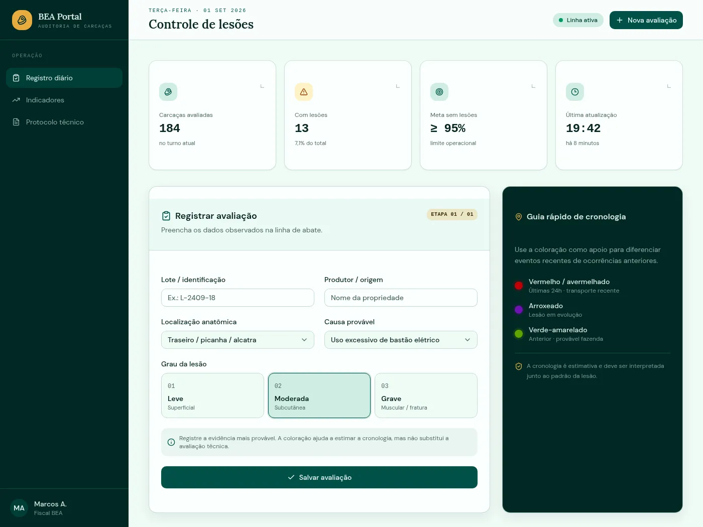 BEA Lesion Audit Portal