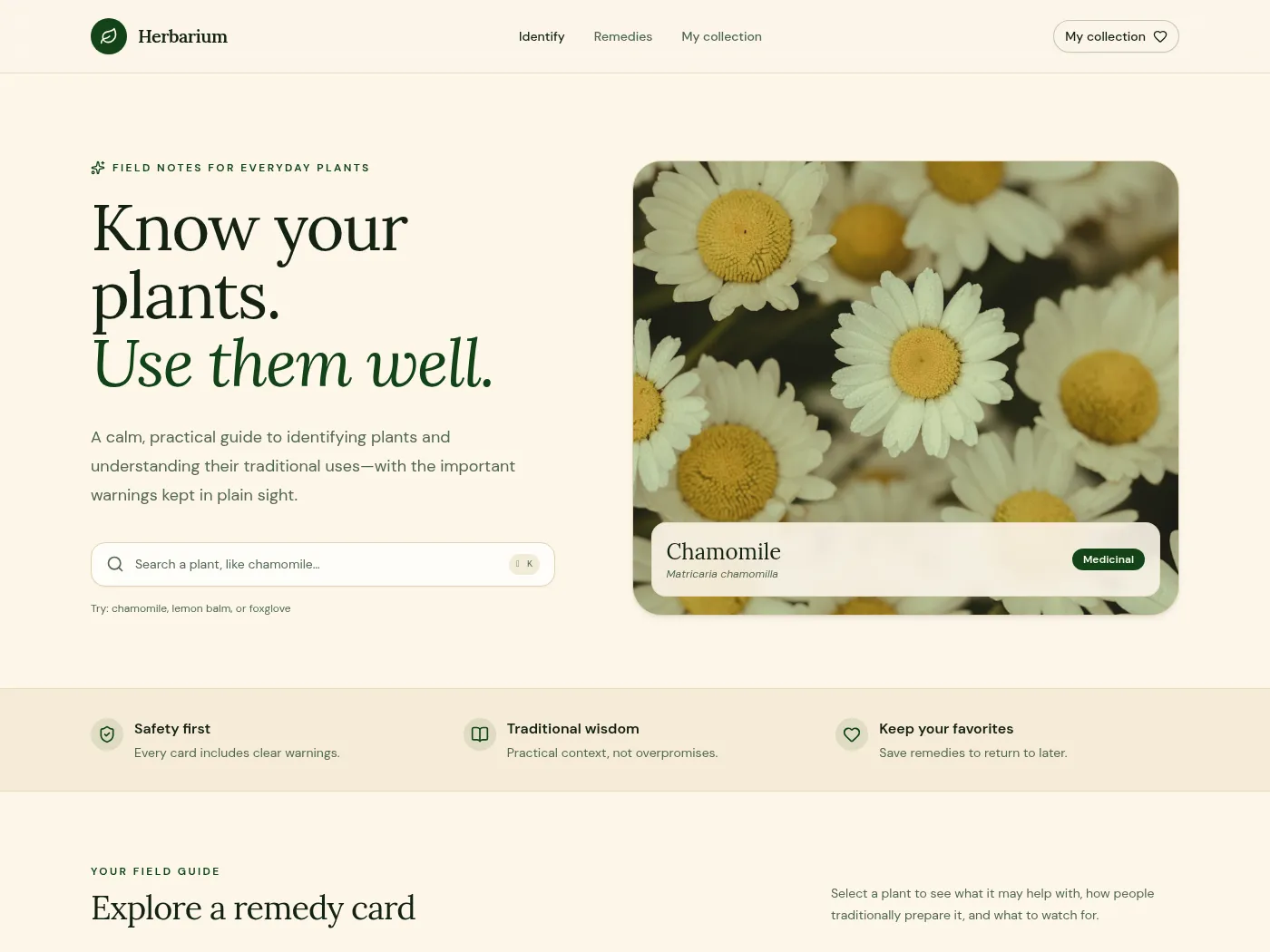 Plant Remedy Identifier