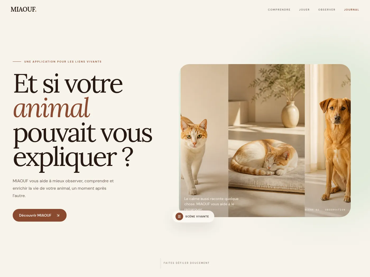 MIAOUF Interactive Pet Site