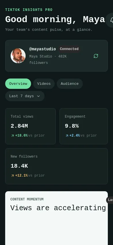 TikTok Insights Pro
