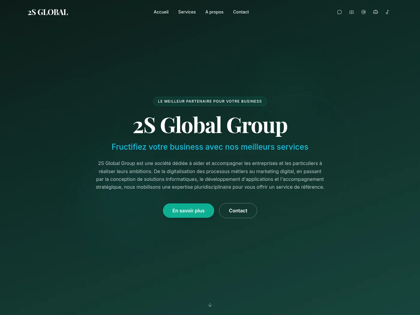 2S Global Group Site