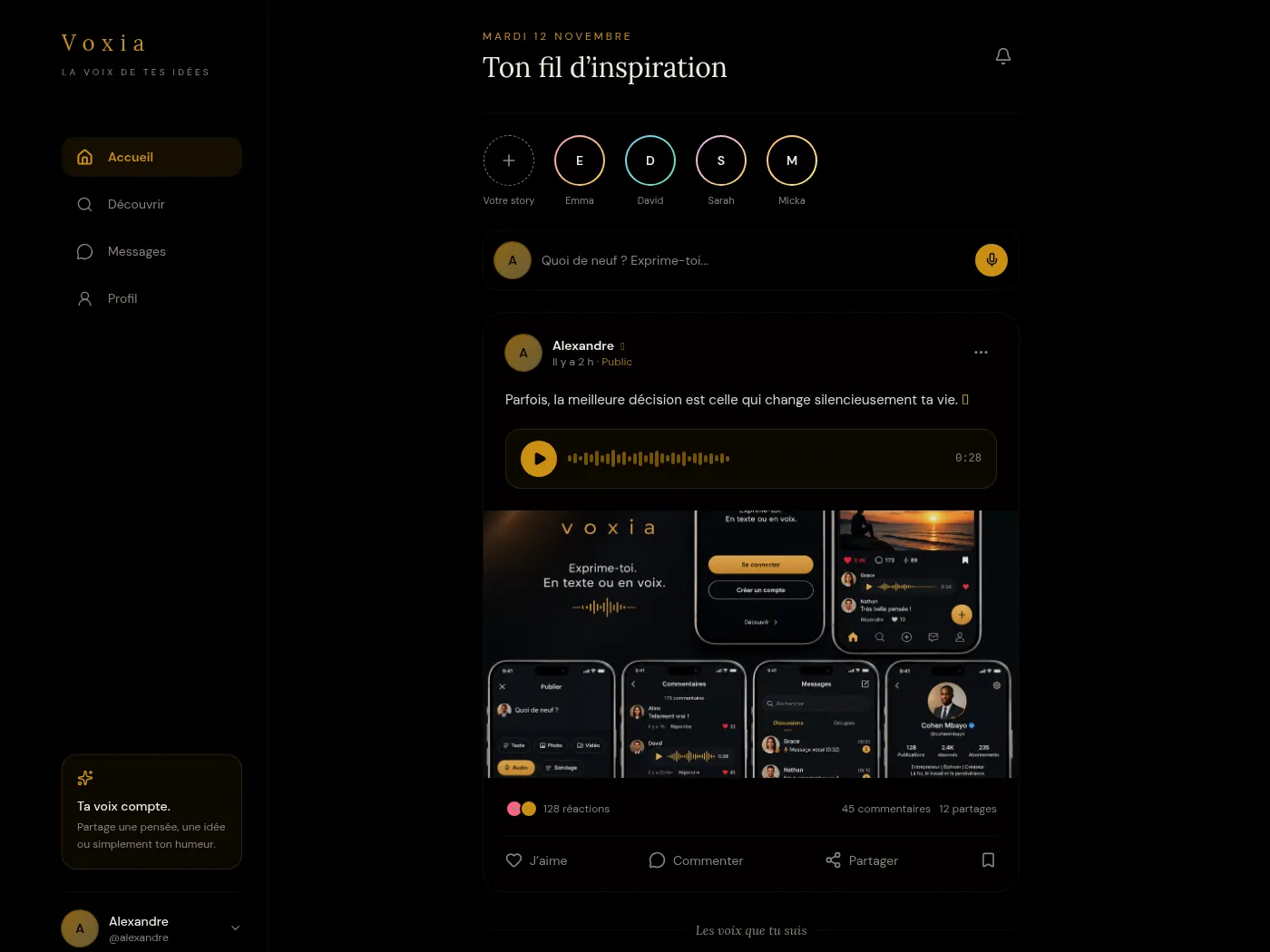 VoxiaApp Voice Assistant