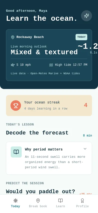 WaveWise Surf Coach