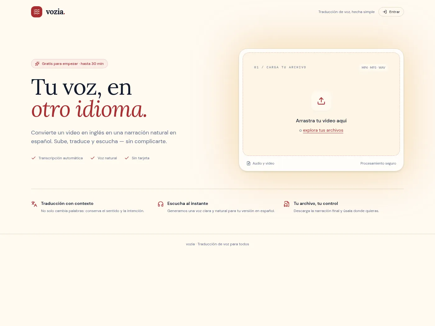 VoiceClone Translate Pro