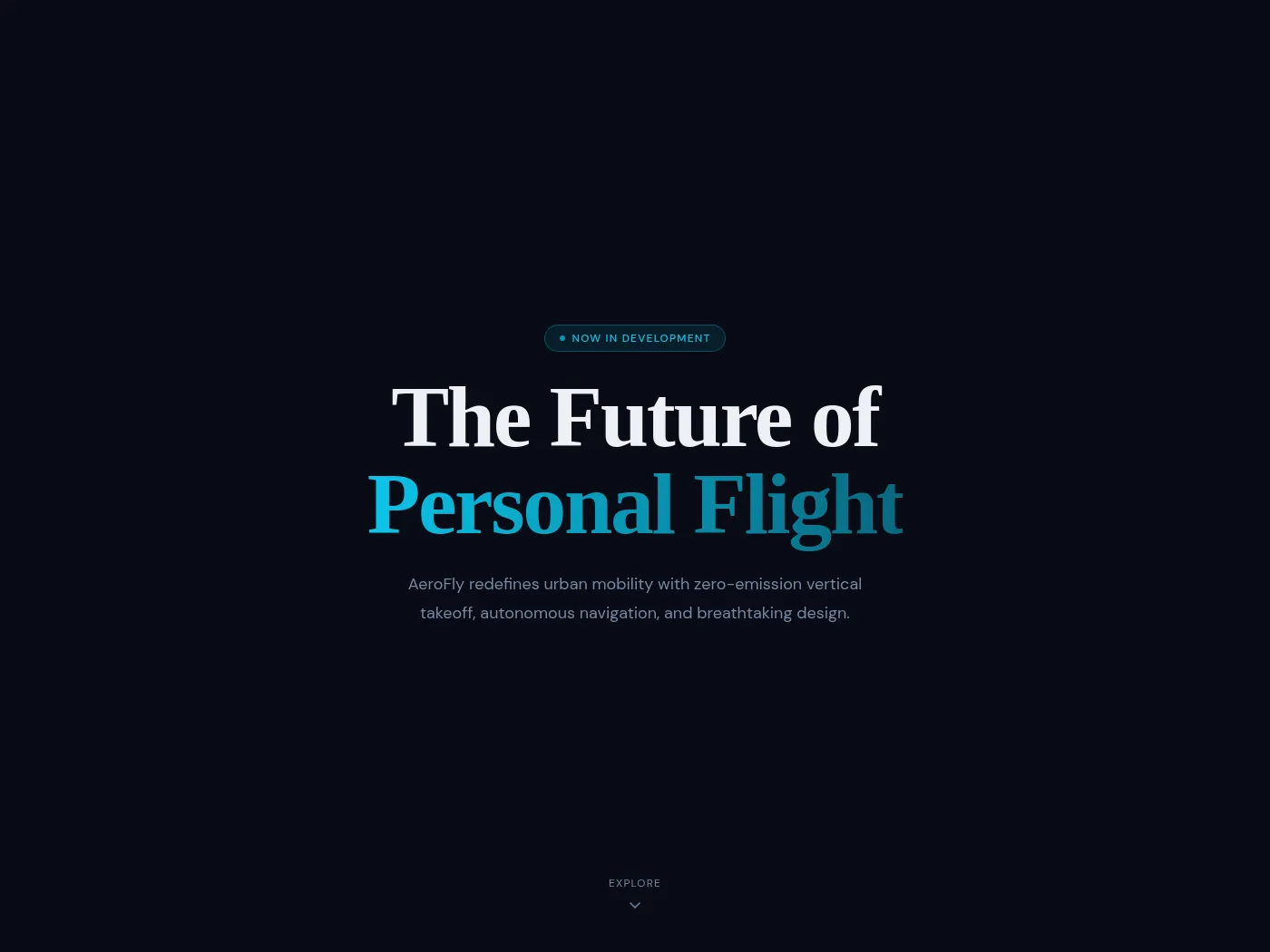 AeroFly 3D Experience