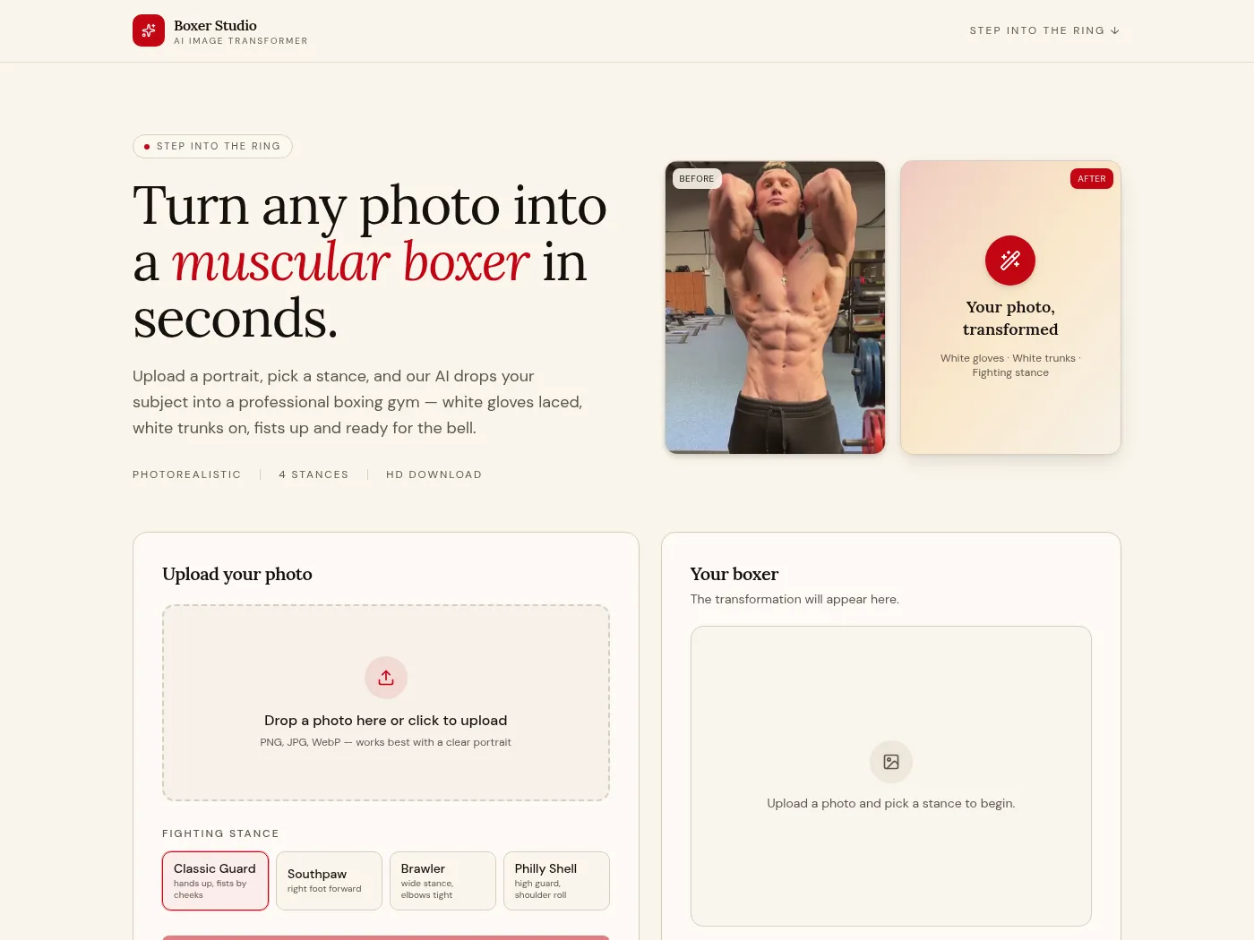 Boxer Image Transformer