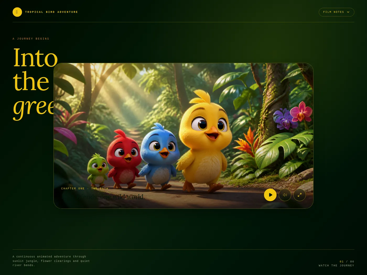 Tropical Bird Adventure