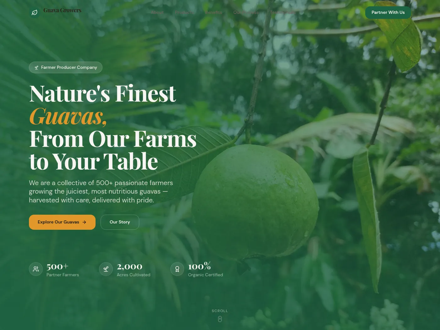 Guava Growers Landing Page