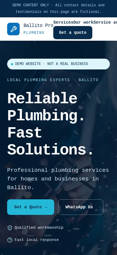 Ballito Pro Plumbing Demo