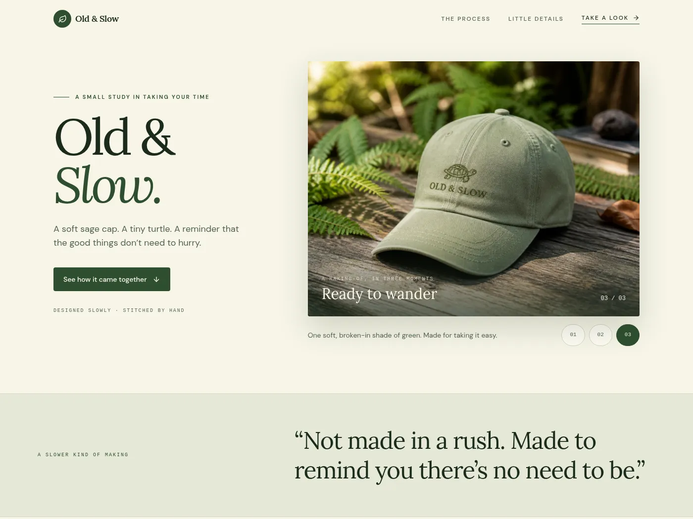 Old & Slow Turtle Hat