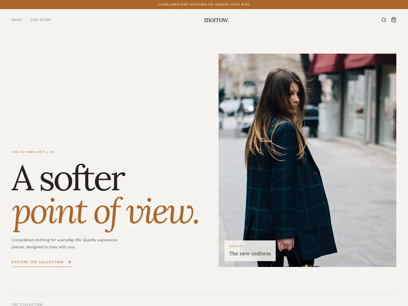 Fashion Storefront