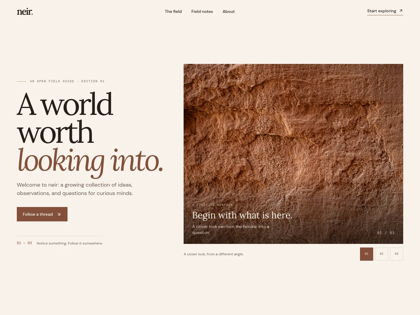 Neir Discovery
