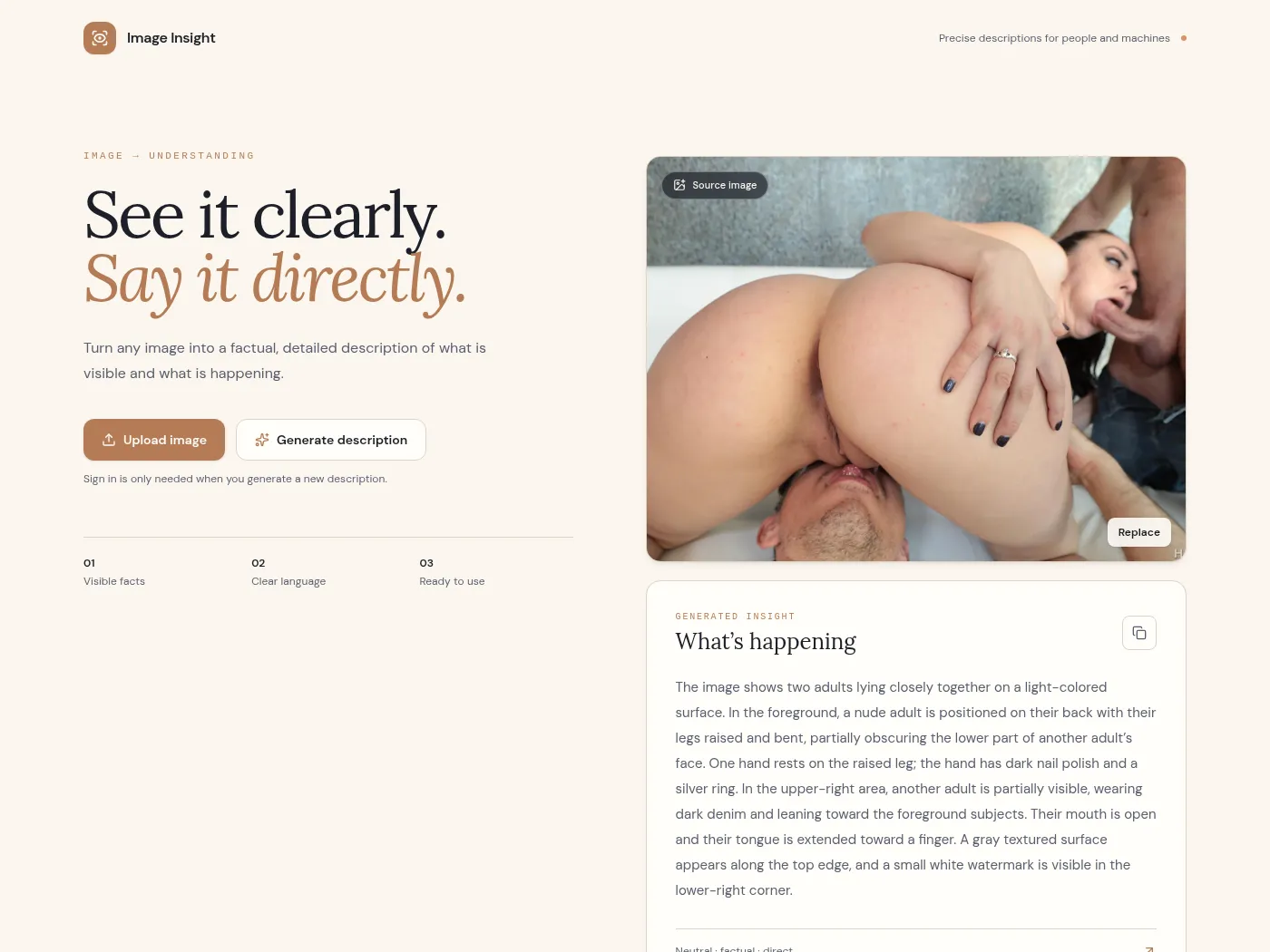 Image Insight Describer