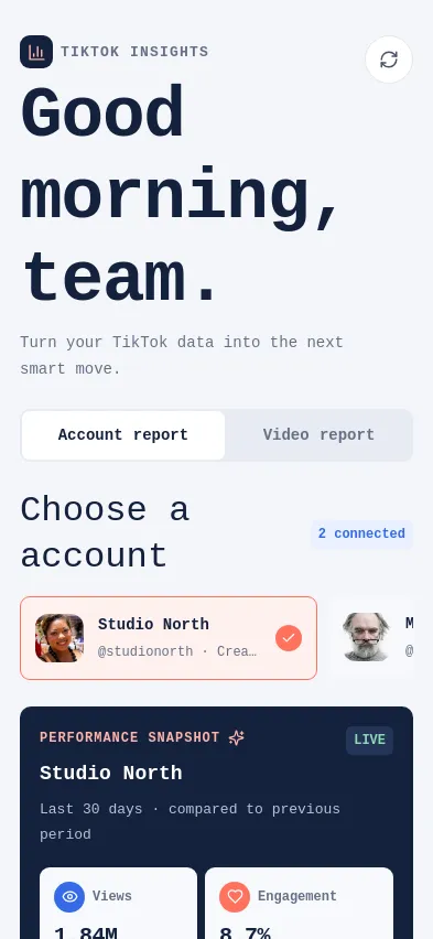 TikTok Insights Analyzer