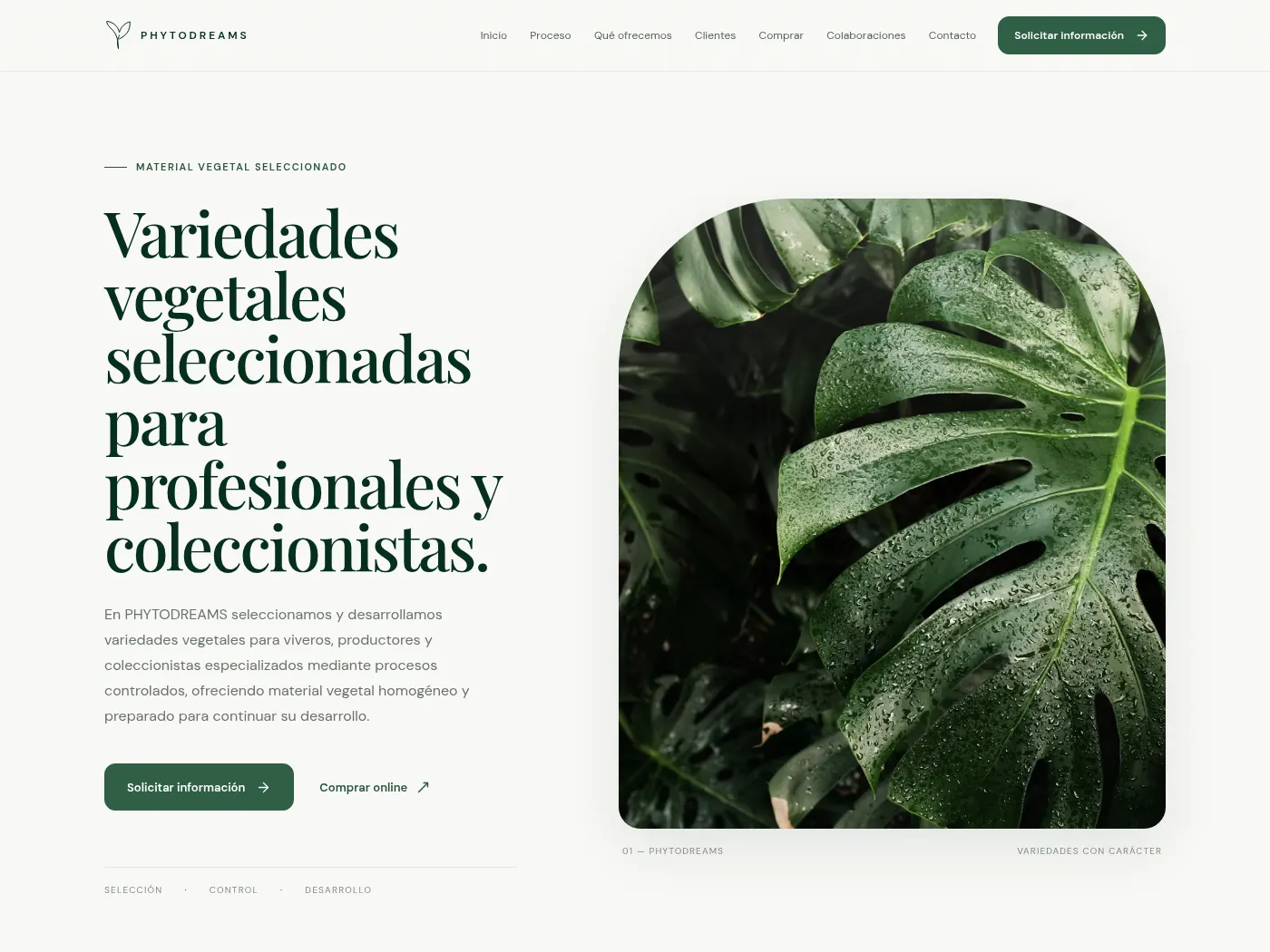 Phytodreams Landing Page