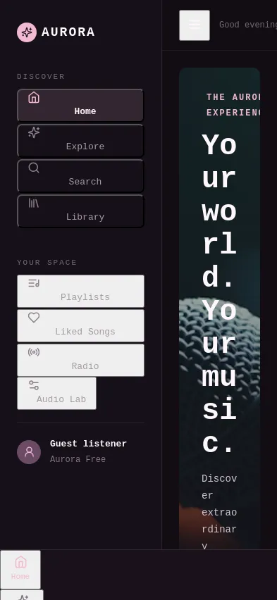 Aurora Music Experience