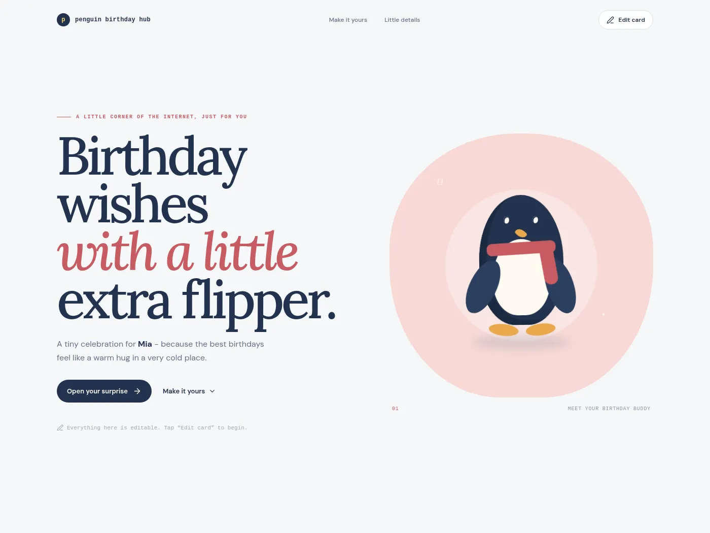 Penguin Birthday Hub