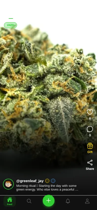 420 Vibes Social App