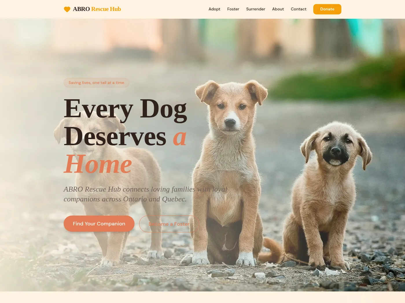 ABRO Rescue Hub