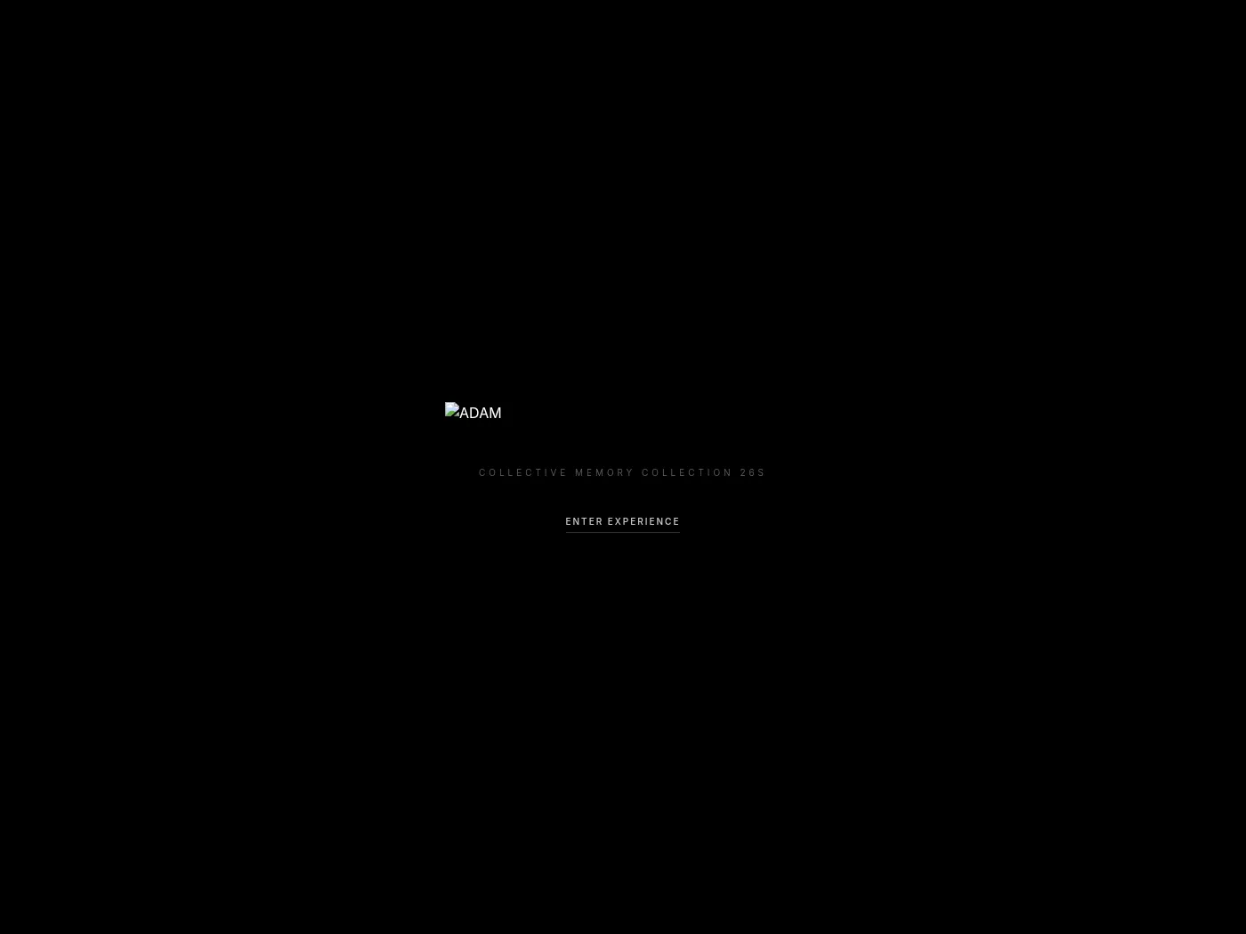 ADAM Lookbook Interactive Site