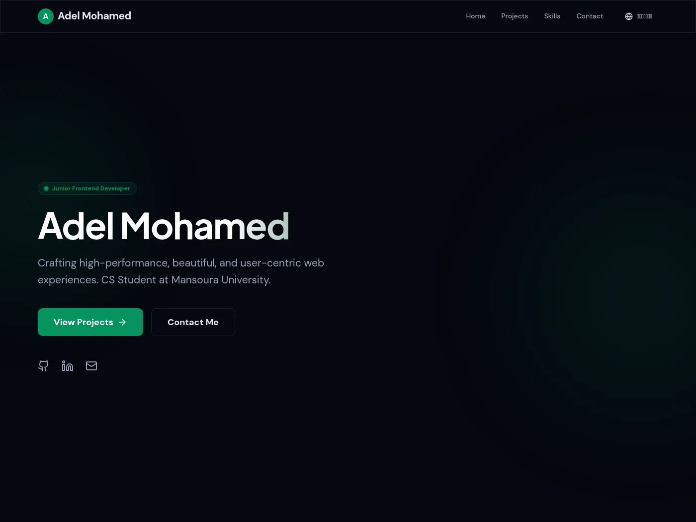 Adel Mohamed Portfolio