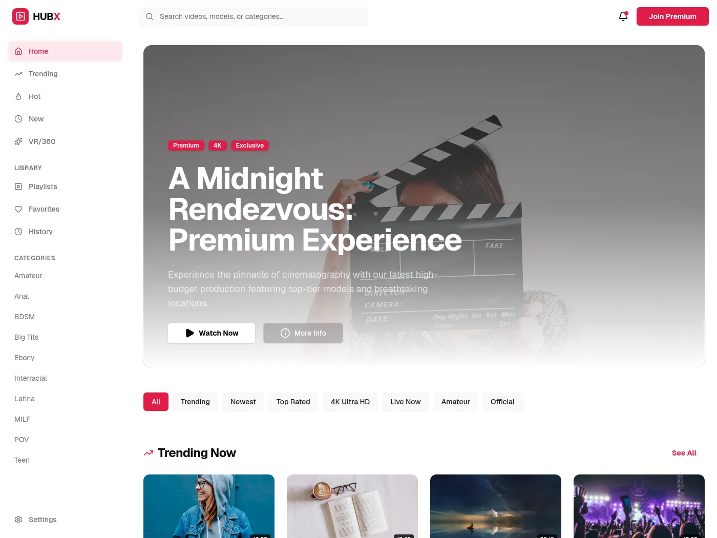 Adult Media Hub