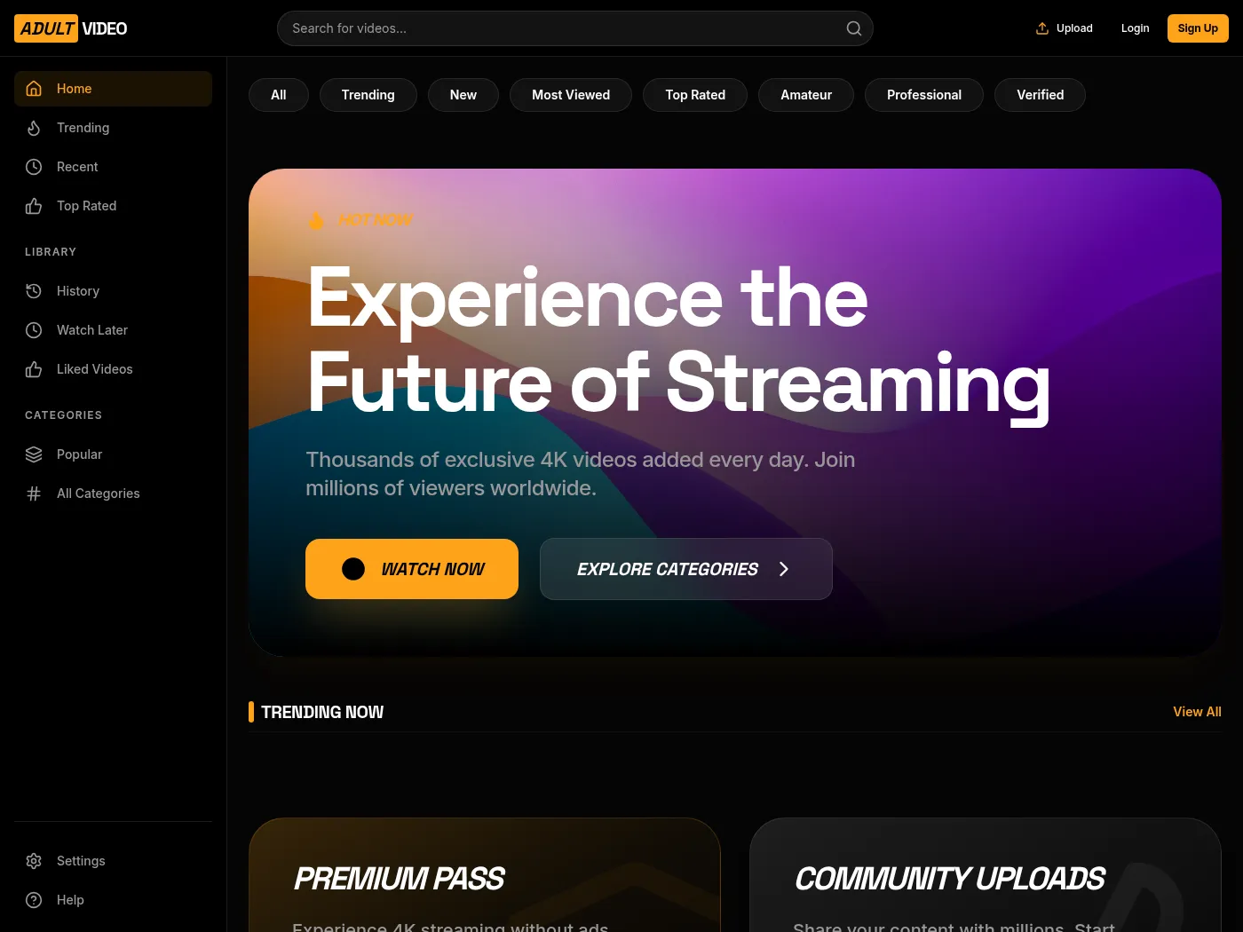 Adult Video Platform