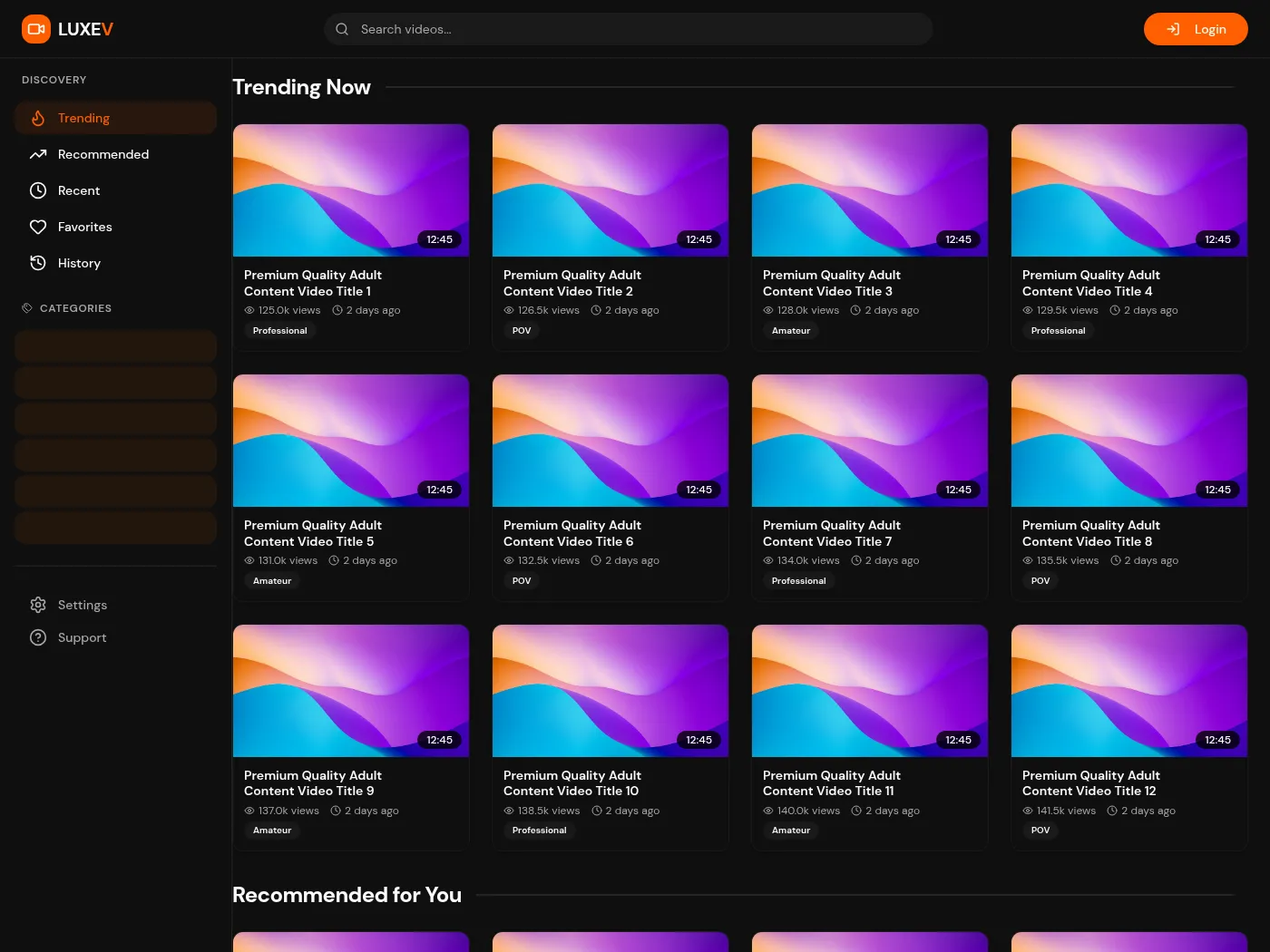 Adult Video Viewer