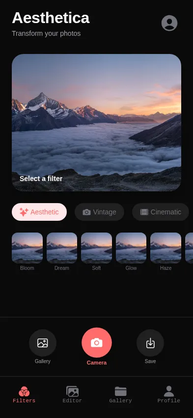 Aesthetica Filters Studio
