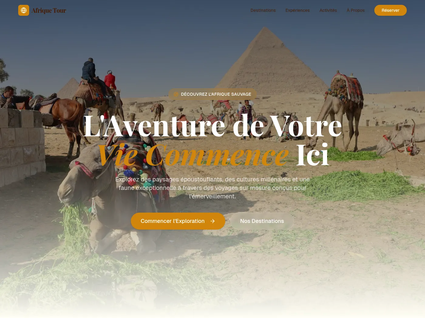 Afrique Tour Explorer
