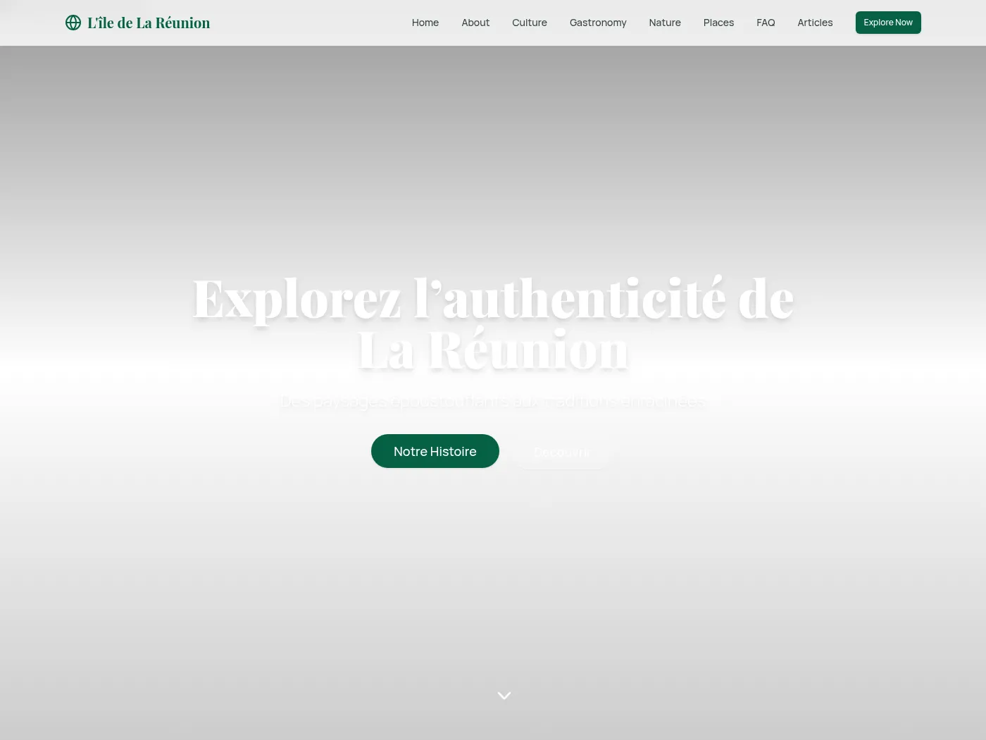Elegant Agency Website