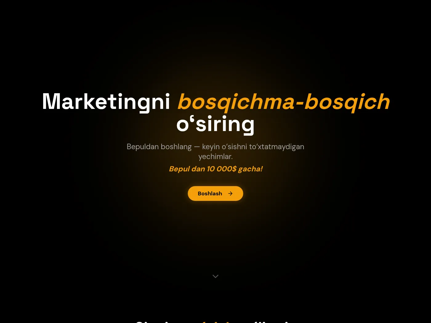 Agency Promo Page