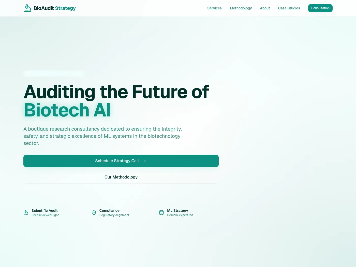 AI Audit Consulting Landing